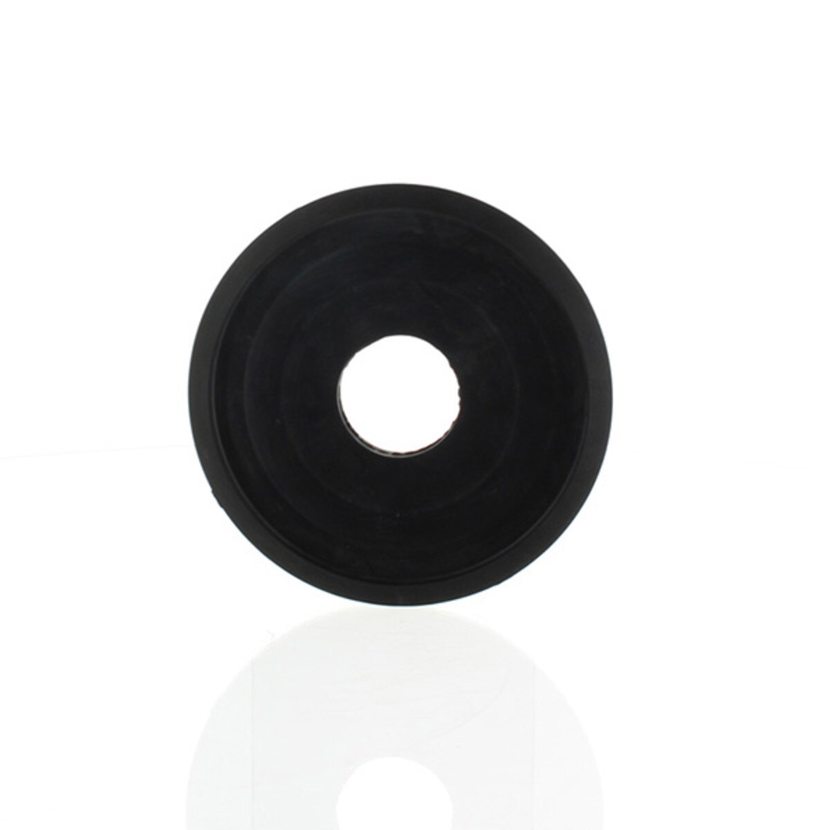 Valve Stem Insert - Guided